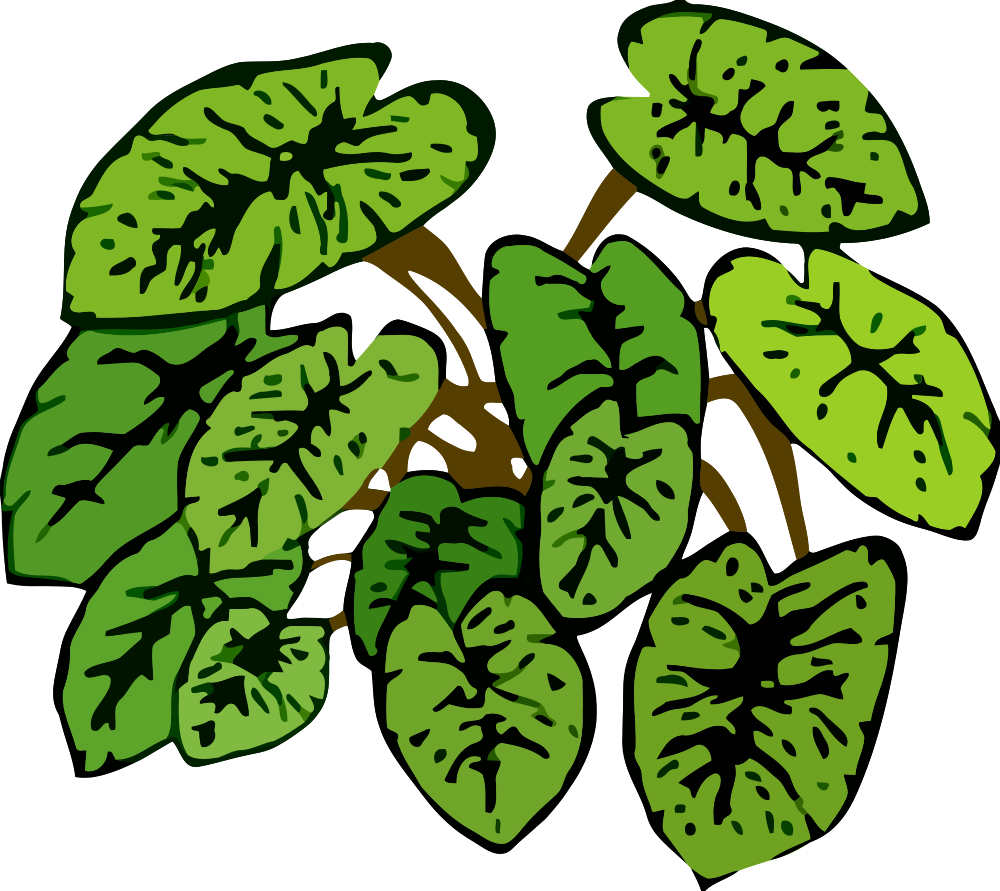 Water The Plants Clipart